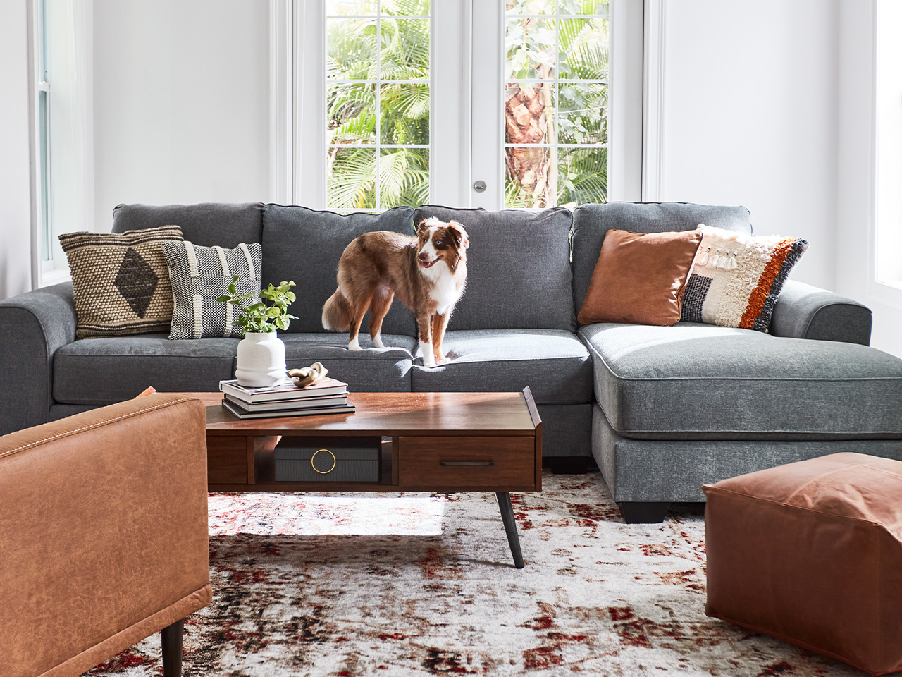 Design Your Home with Pets in Mind: Consider pet-friendly furniture for ...
